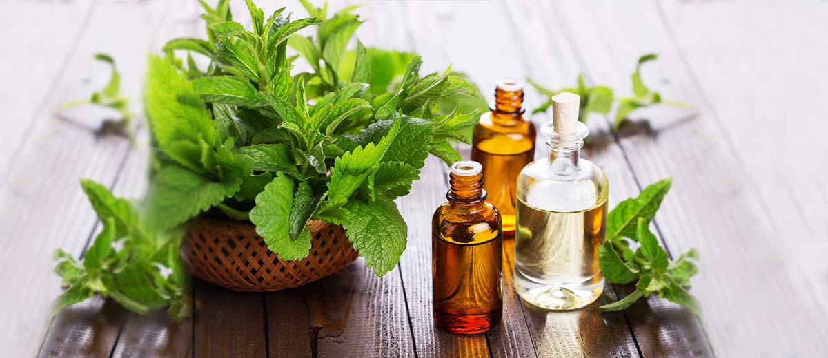 Amazing Benefits of Using Tea Tree Oil