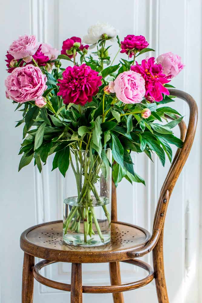 24 Pictures Of Pretty Flowers To Boost Your Mood