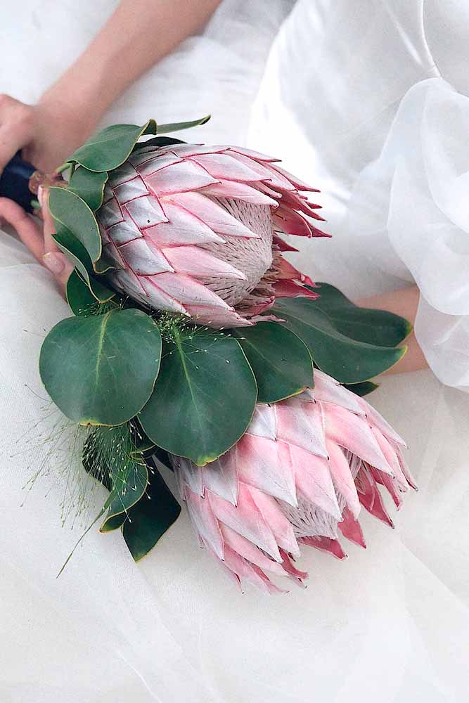 24 Pictures Of Pretty Flowers To Boost Your Mood