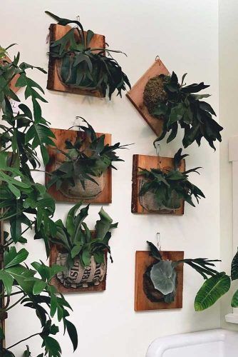 24 Incredible Wall Planter Pots For Devoted Plant Fans