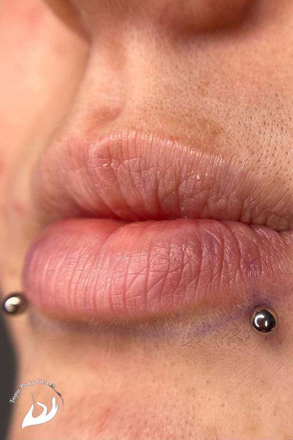 Snake Bites Piercing Guide: Do You Dare To Go This Far?