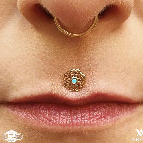 Stunning Medusa Piercing and Vital Points That Concern It