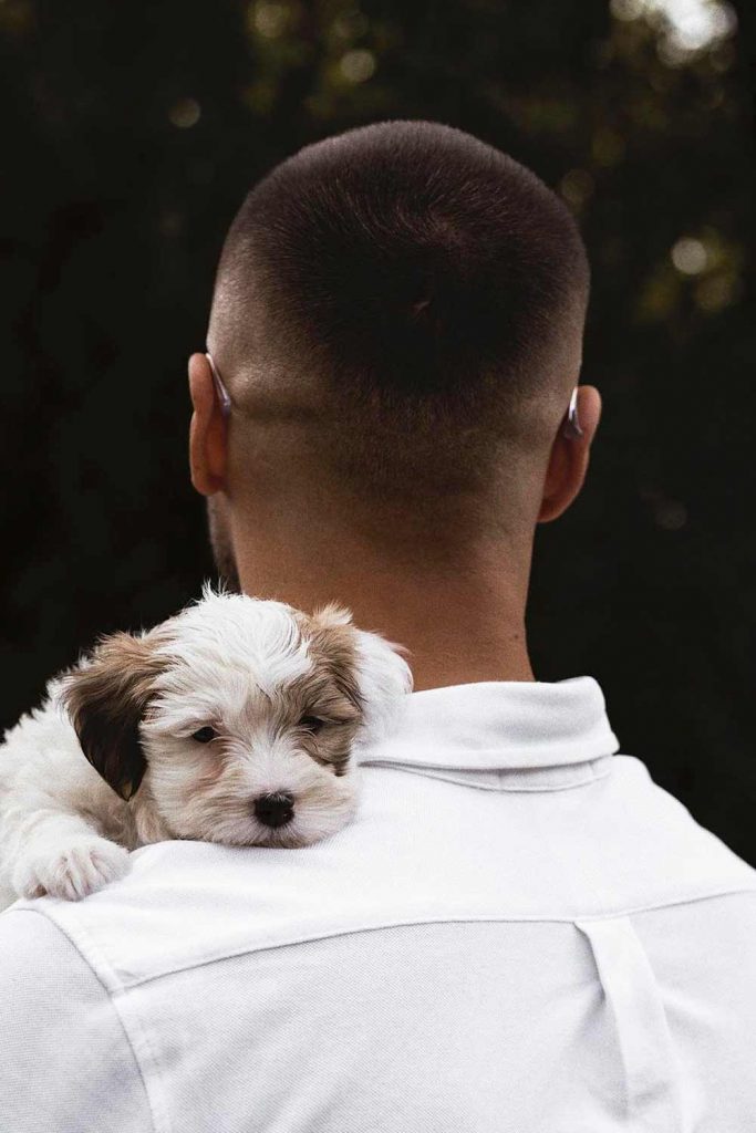 20 Buzz Cut Ideas To Have On Your Radar