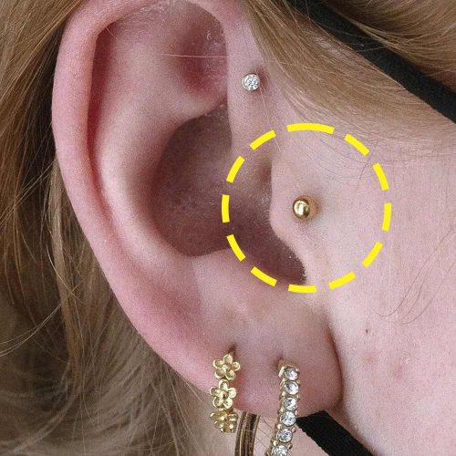 Gorgeous Tragus Piercing Looks For All Ladies’ Tastes
